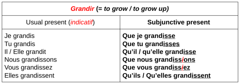 French Grammar French Subjunctive Made Easy Comme Une Fran aise french-grammar-french-subjunctive-made-easy-comme-une-fran-aise